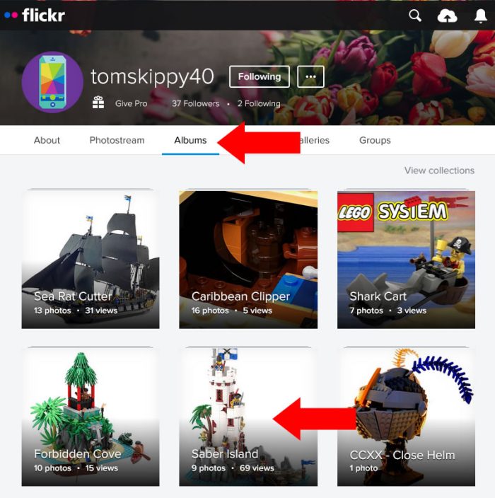Downloading Images: Flickr – The Ultimate LEGO® Pirate Resource